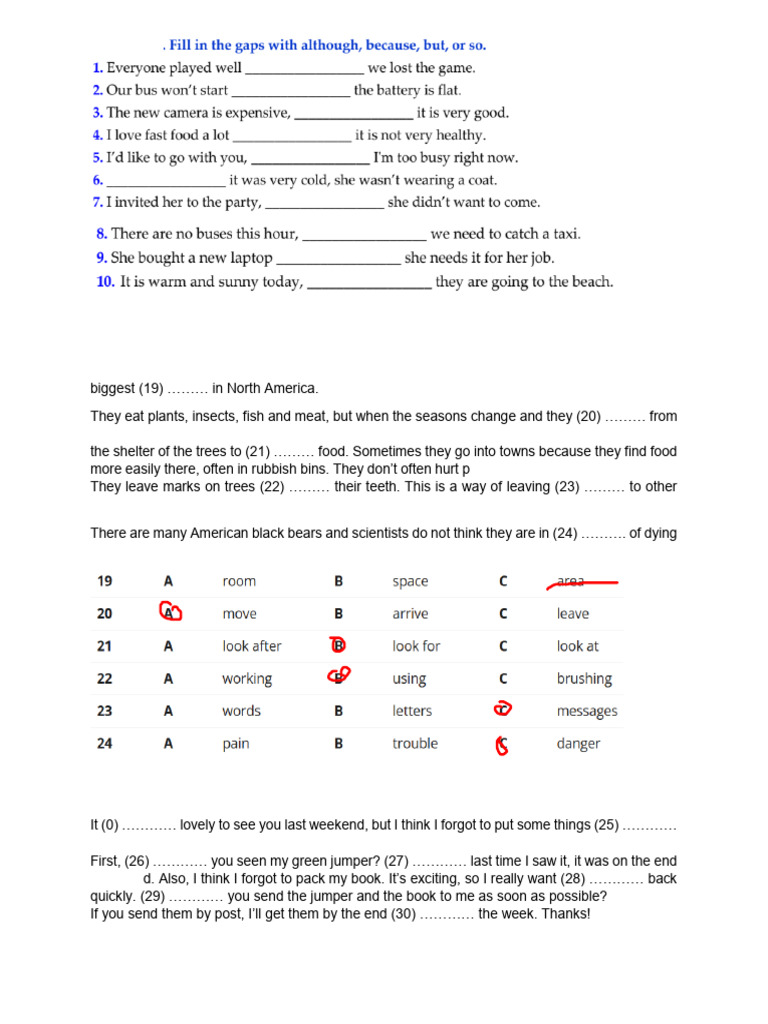 The American Black Bear | PDF