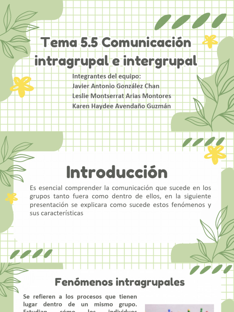 Comunicación intragrupal e intergrupal | PDF