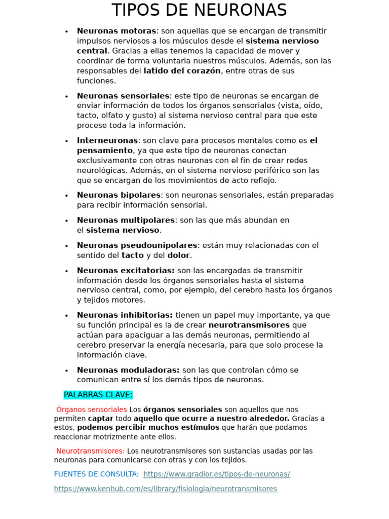 Tipos de Neuronas y sus Funciones | PDF