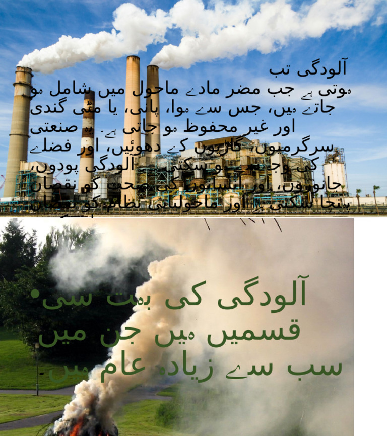 Urdu Project Monday | PDF