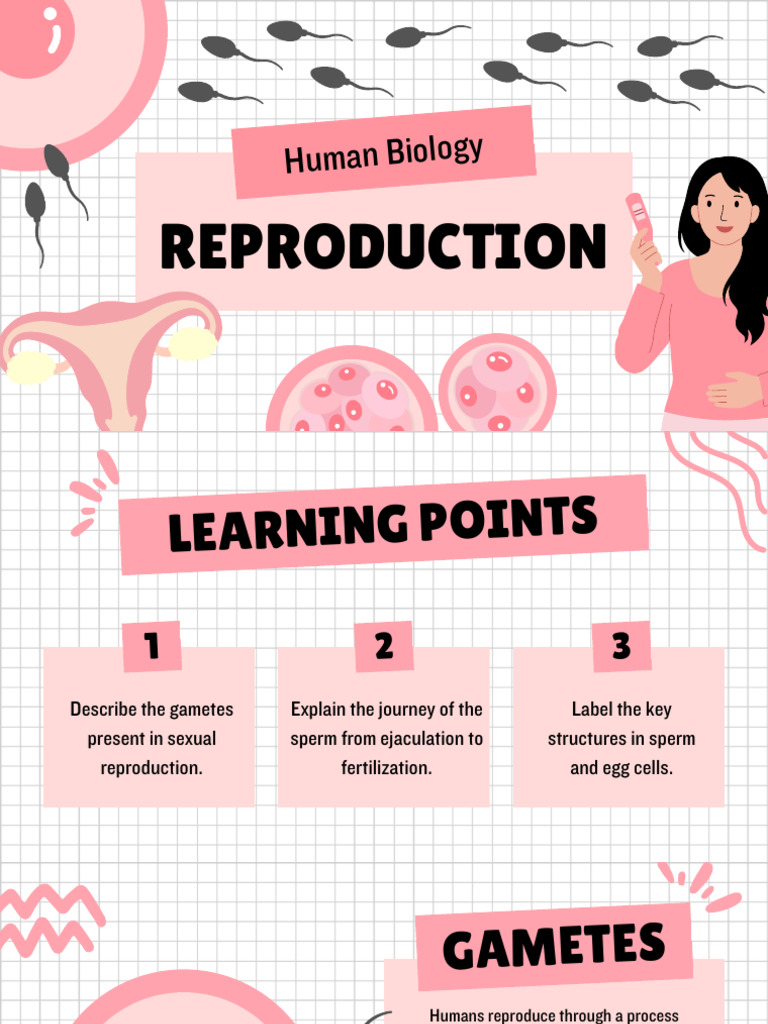Reproduction Biology Presentation in a Bold Pink Style.pdf | PDF ...