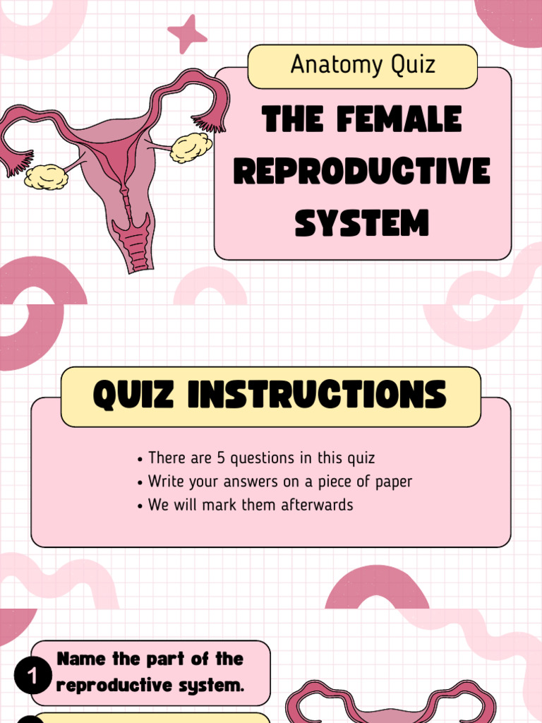 Female Reproductive System Biology Quiz Presentation in A Pink Bold ...