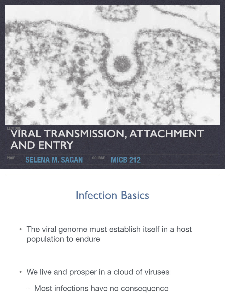 5.transmission Attachment and Entry - Micb212.2025.canvas | PDF | Virus ...