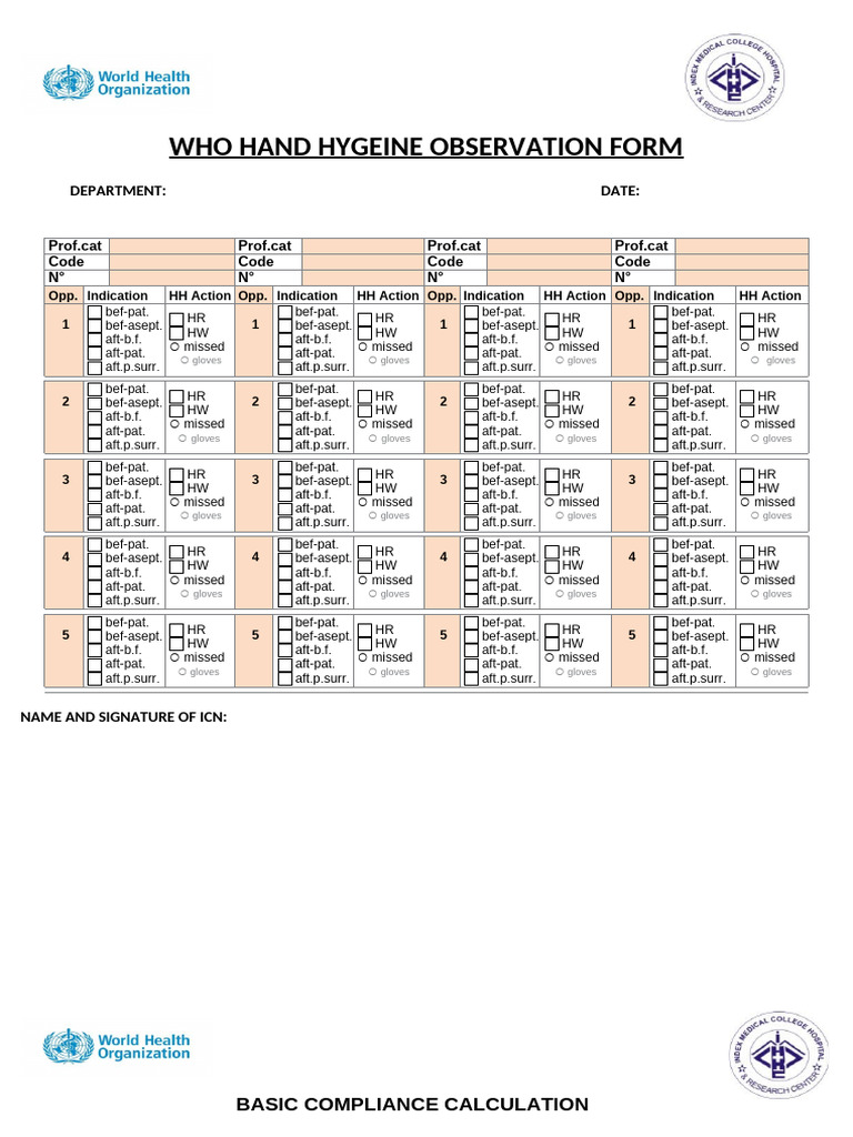 Hand Hygeine Form | PDF