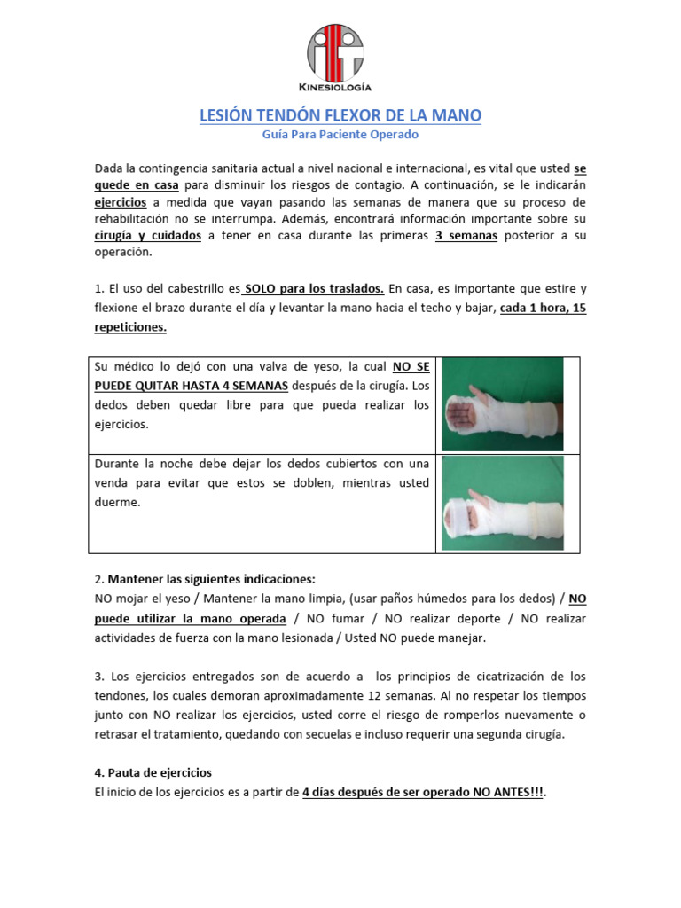Instructivo Tendon Flexor | PDF | Mano | Enfermedades y trastornos