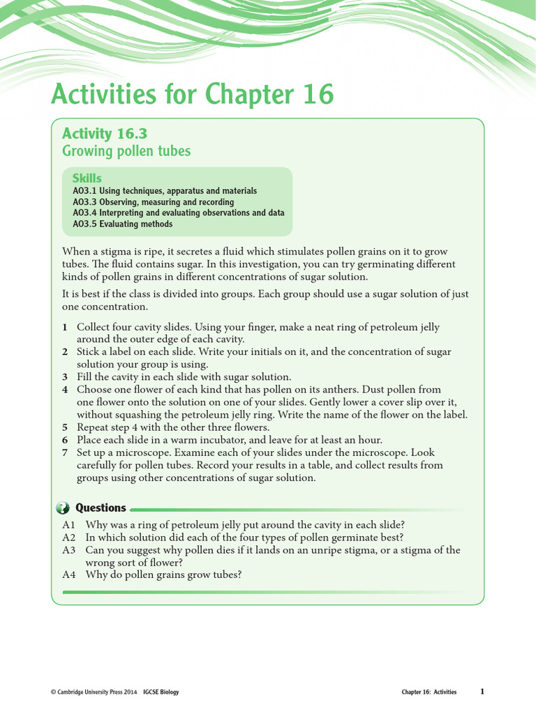 Activity - 16.3 - Growing Pollen Tubes | PDF