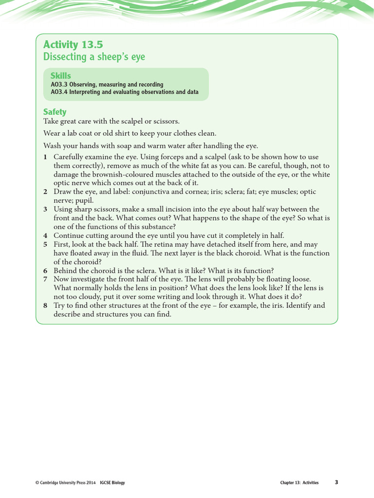 Sheep Eye Dissection Guide | PDF