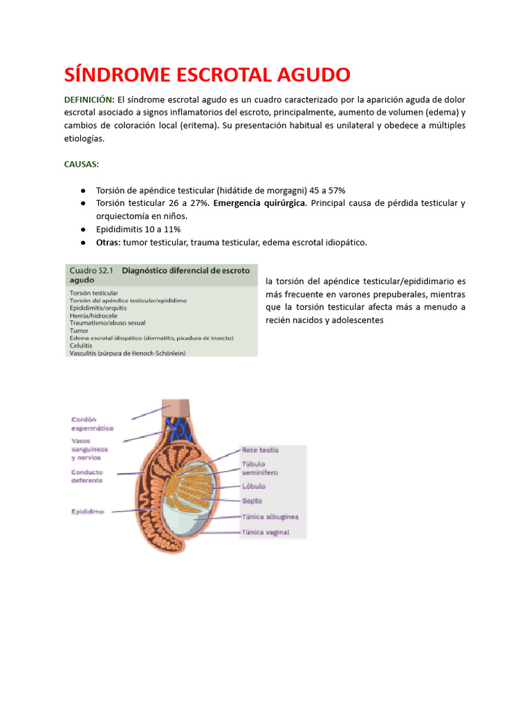 Síndrome Escrotal Agudo | PDF | Especialidades Medicas | Enfermedades y ...