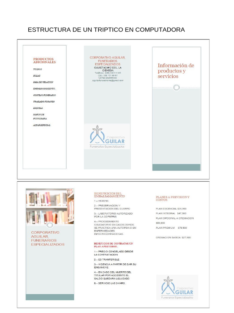 Estructura de Un Triptico en Computadora | PDF