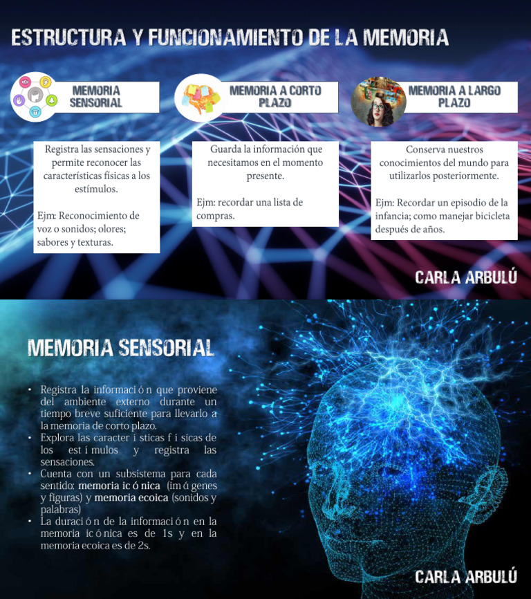 Estructura Y Funcionamiento De La Memoria Pdf