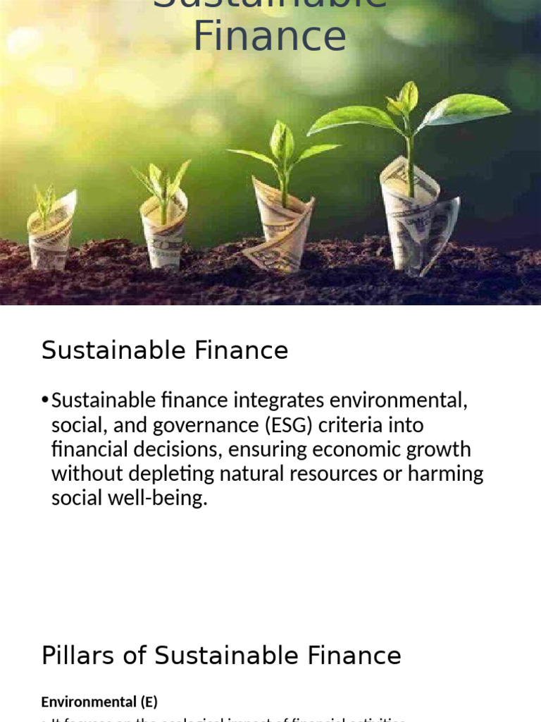 Sustainable Finance | PDF | Sustainability | Climate Change