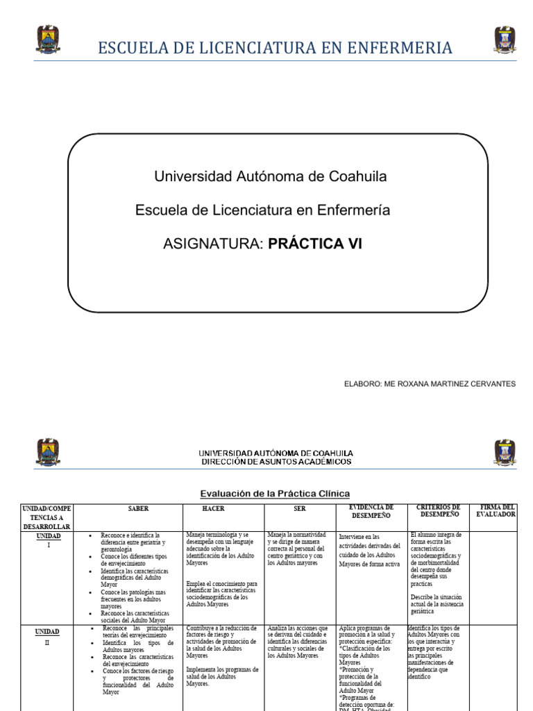 Práctica Vi Adulto Mayor | PDF | Vejez | Enfermería