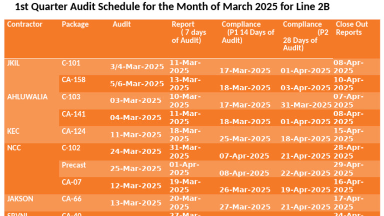 Audit Schedule March 2025 | PDF