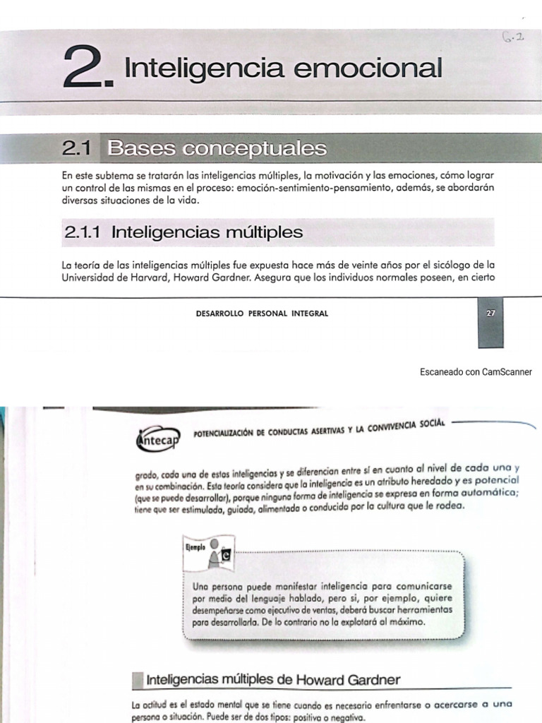 Inteligencia Emocional | PDF