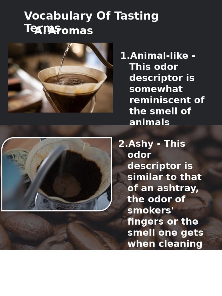 Vocabulary of Tasting Terms 20250217 210705 0000 | PDF | Taste | Odor