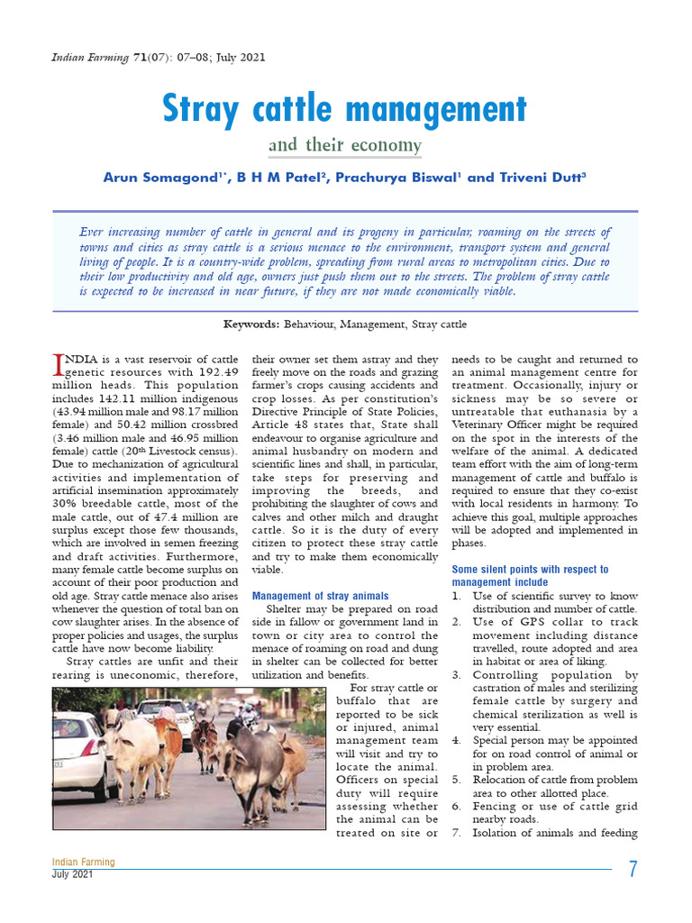 Ojsadmin, 02 Stray Cattle Management | PDF | Cattle | Agriculture