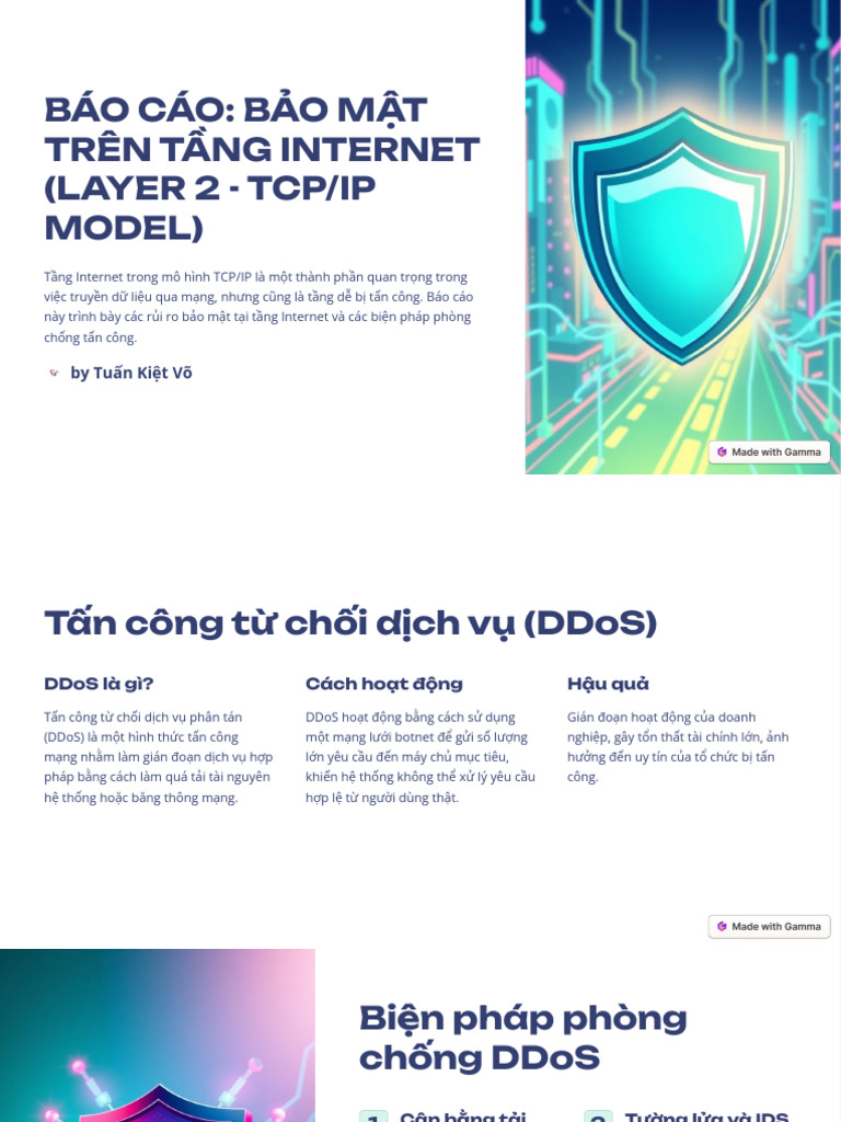 Báo Cáo: B O M T Trên T NG Internet (Layer 2 - Tcp/Ip Model) | PDF