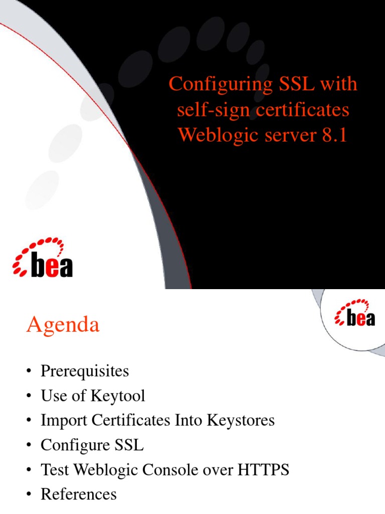 Configuring Ssl With Self Signed Certificates Pdf Public Key
