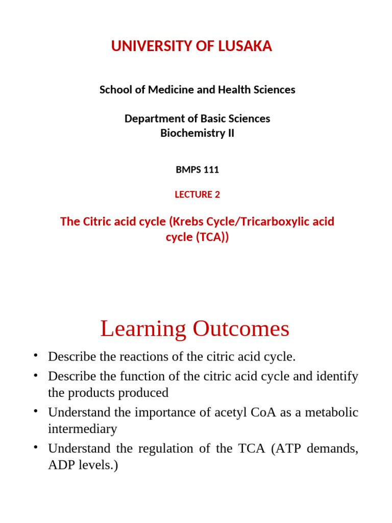 Understanding the Citric Acid Cycle | PDF | Diet & Nutrition | Chemistry