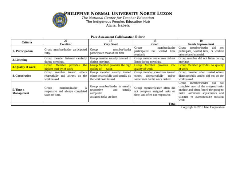 Peer Rating Rubric | PDF | Human Communication | Evaluation