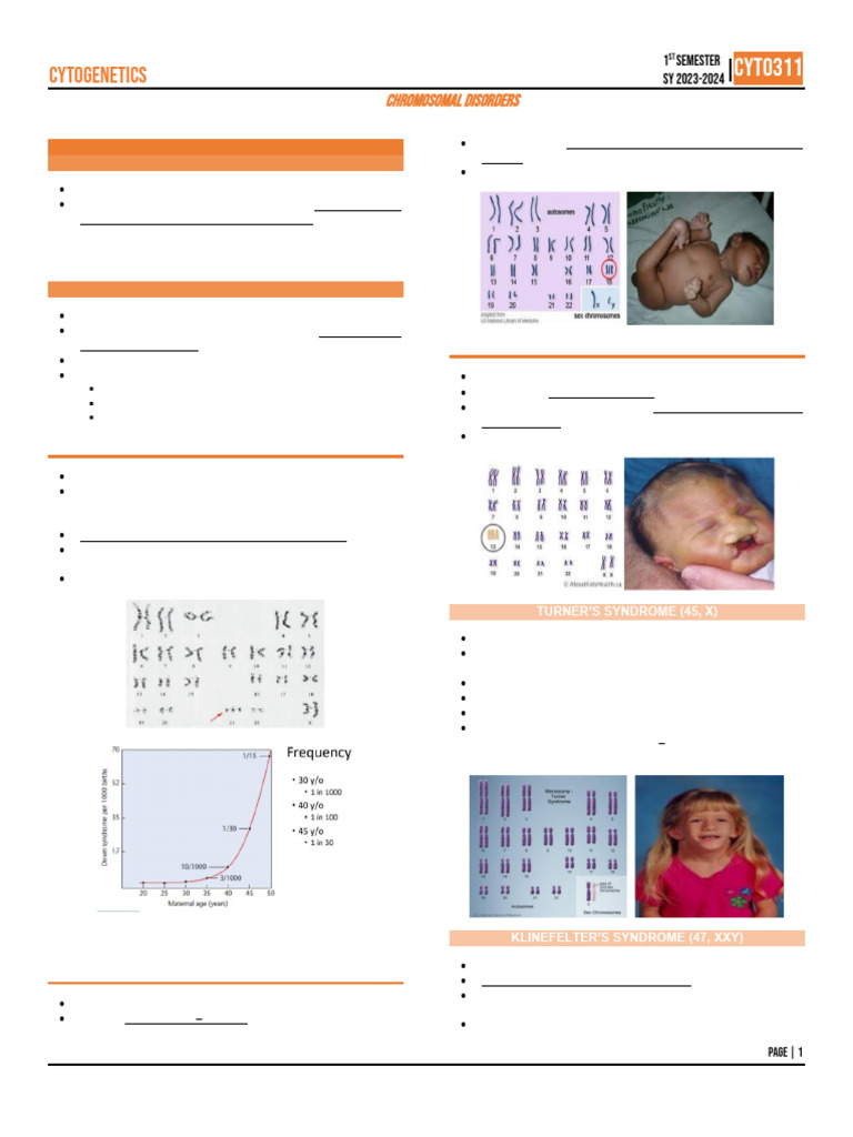 Chromosomal Disorders Overview 2023 | PDF | Down Syndrome | Syndrome