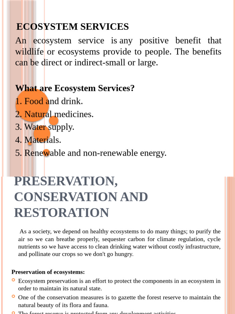 Understanding Ecosystem Services and Conservation | PDF | Conservation ...