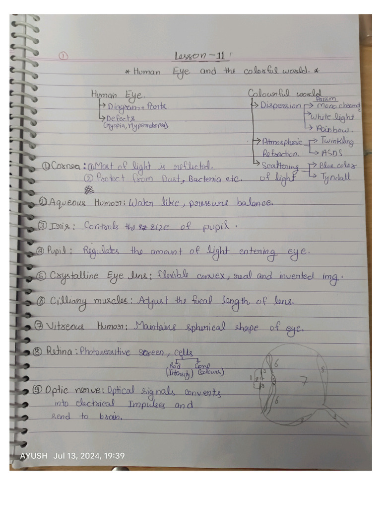 Class 10th Bio Human Eye And Colour World Pdf