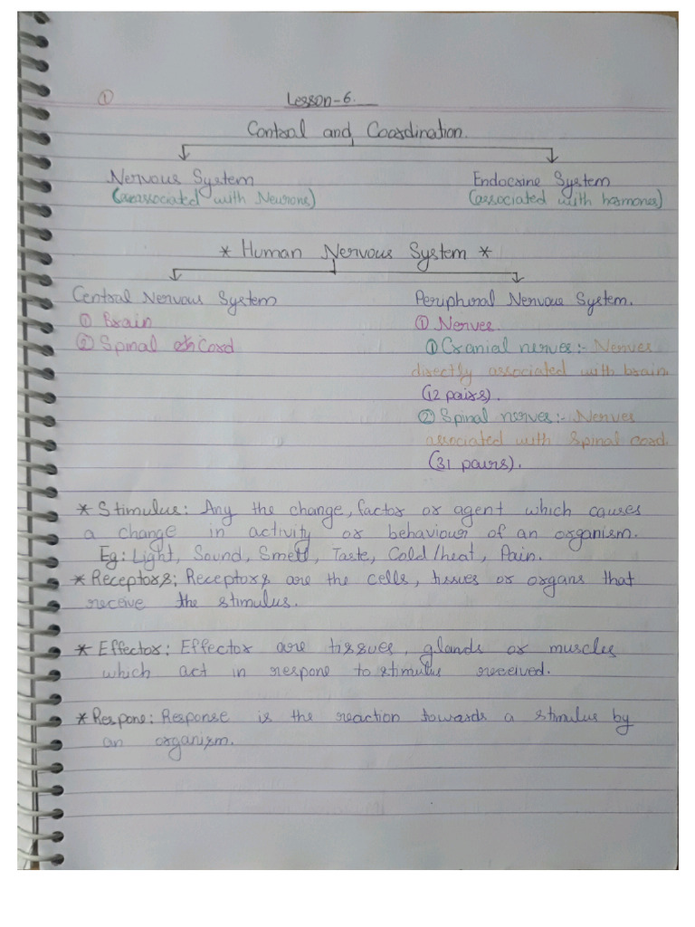 Class 10th Bio Control and Coordination | PDF