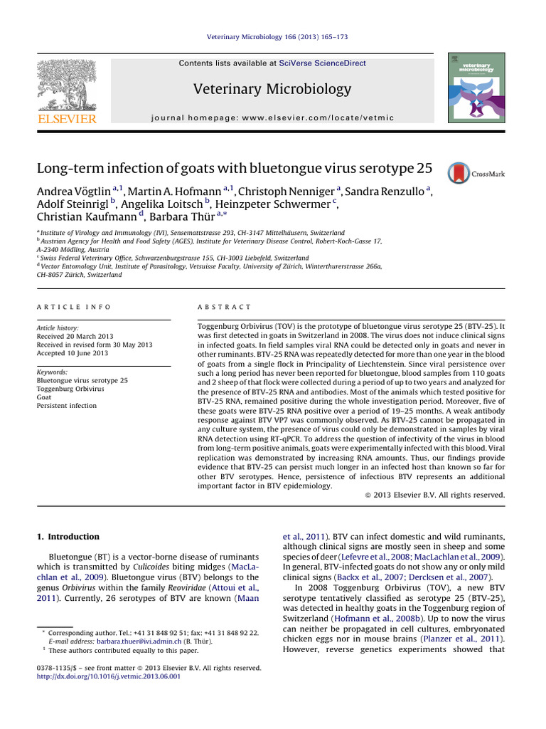 Vögtlin Vd. - 2013 - Long-Term Infection of Goats With Bluetongue Virus ...