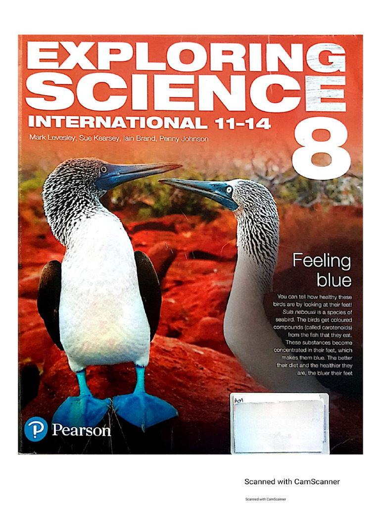 Exploring Science 8 | PDF