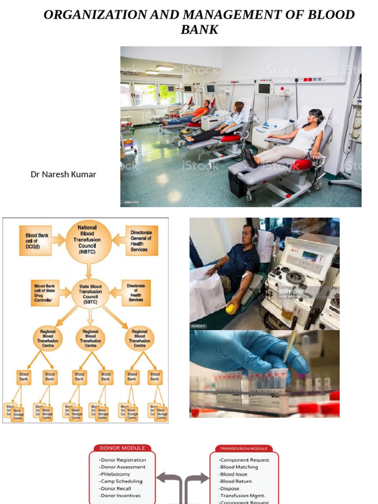 Organization of Blood Bank and Donor Screeing | PDF | Blood Donation ...