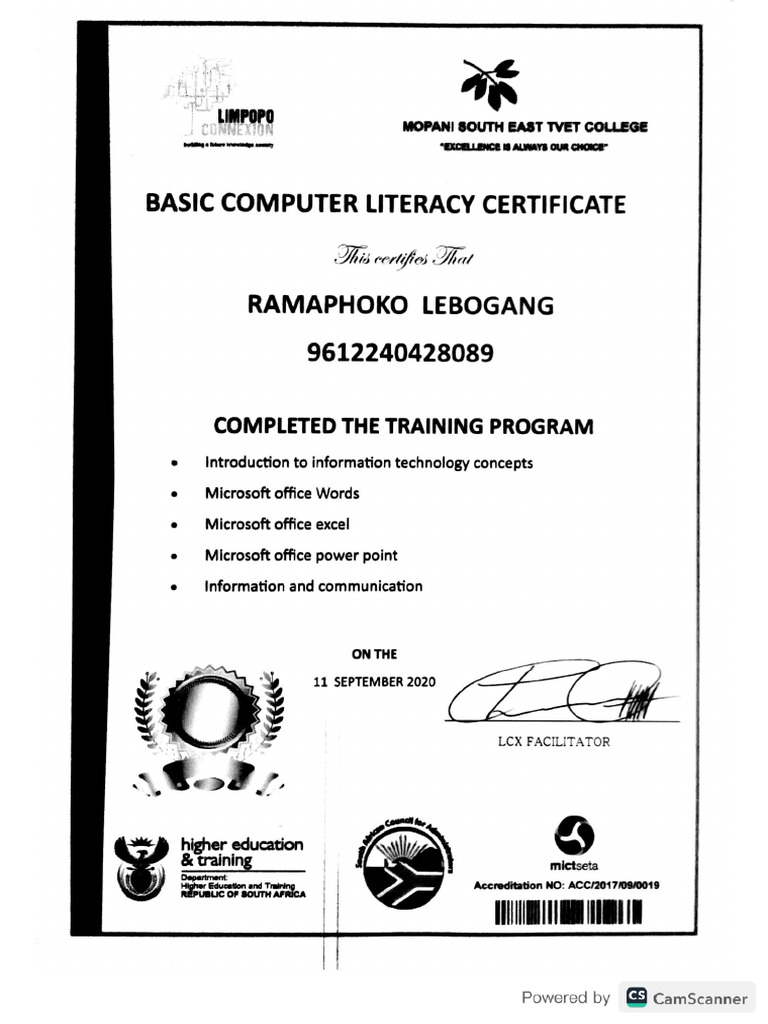 Basic Computer Literacy | PDF