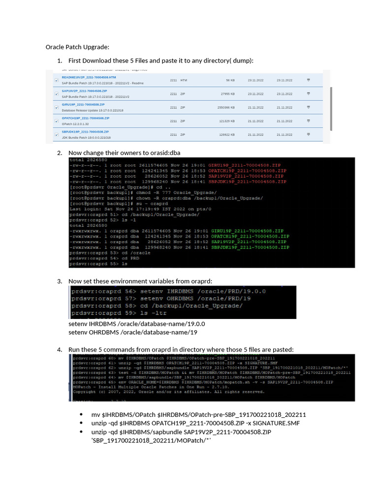 Oracle Patch Upgrade Step-by-Step Guide | PDF