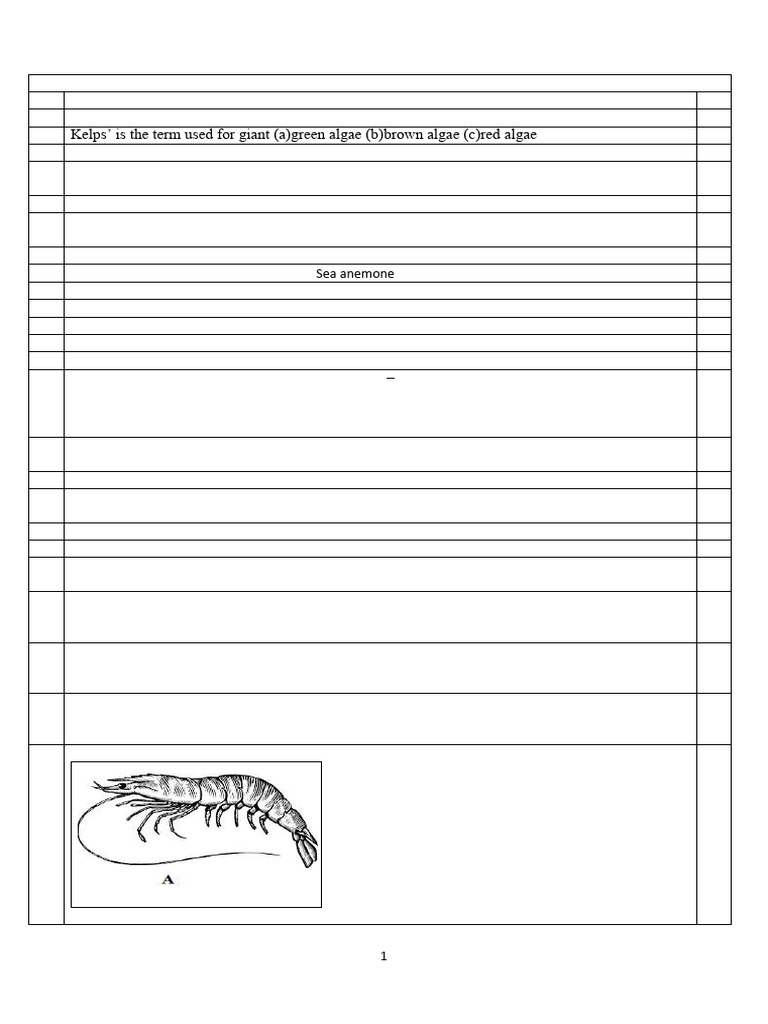 SAMPLE PAPER BIO XI | PDF | Digestion | Human Digestive System