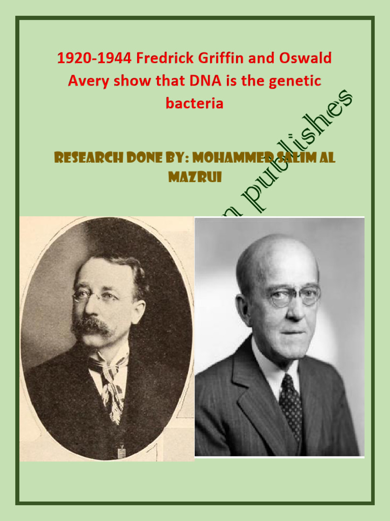 Griffith and Avery: DNA's Discovery | PDF | Genetics | Molecular Biology