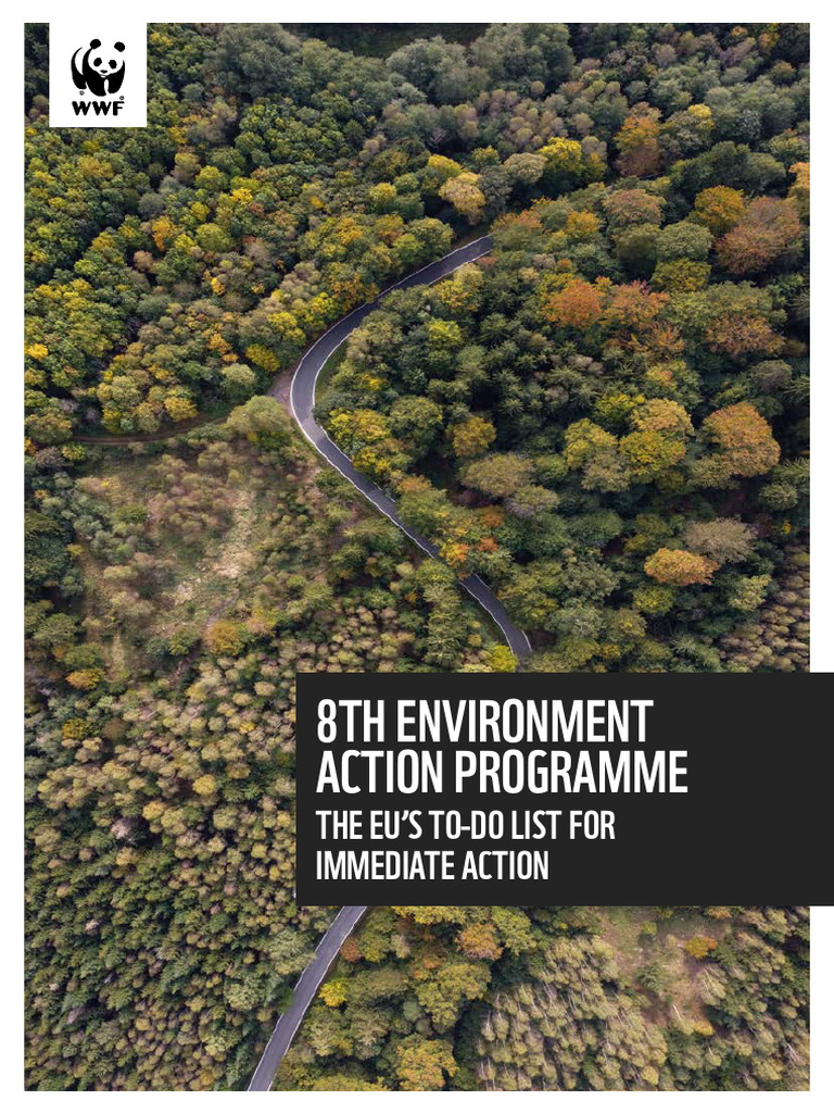 8th Eap The Eu S To Do List For Immediate Action | PDF | Sustainability ...