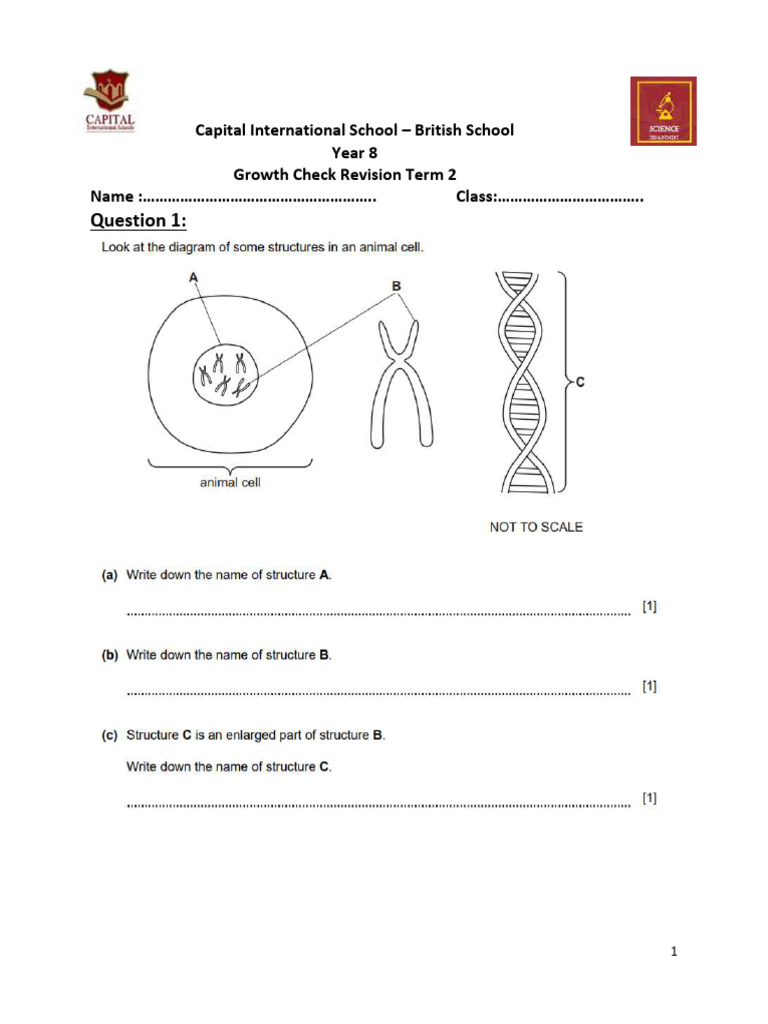Year 8 Growth Check Revision Guide | PDF