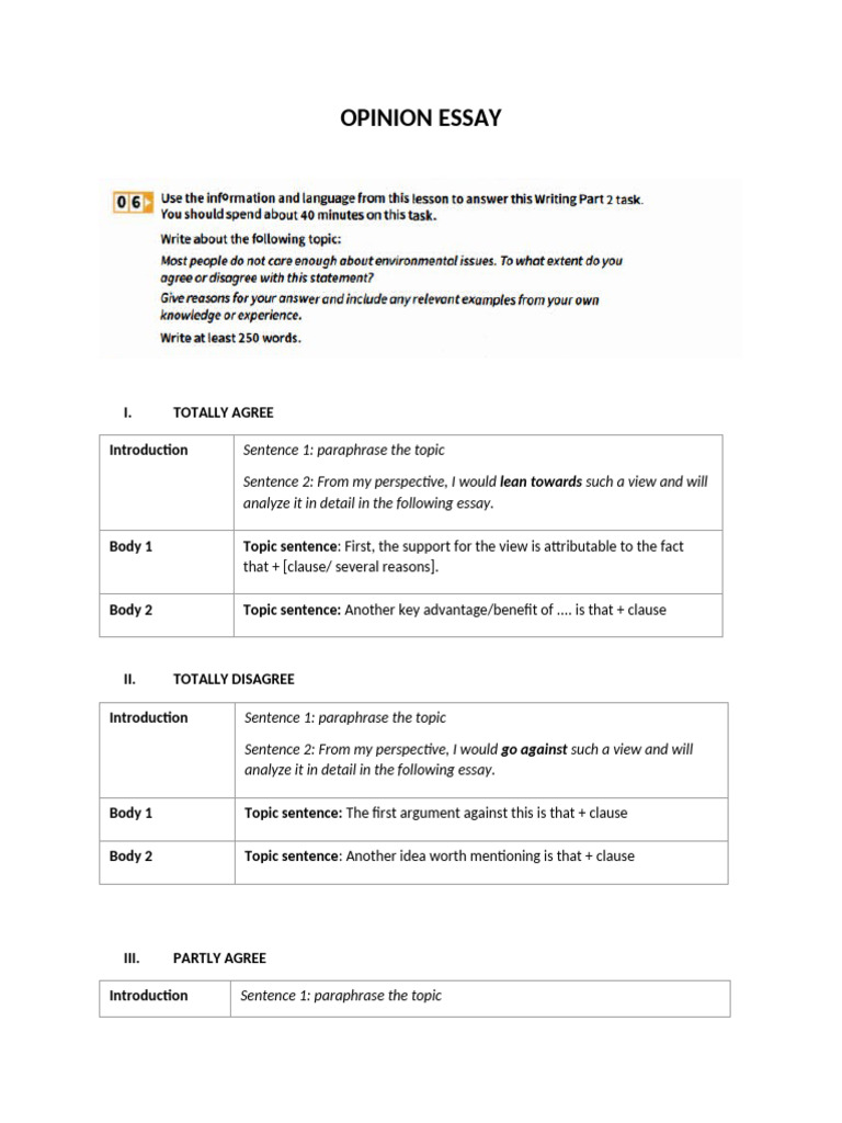Opinion Essay | PDF
