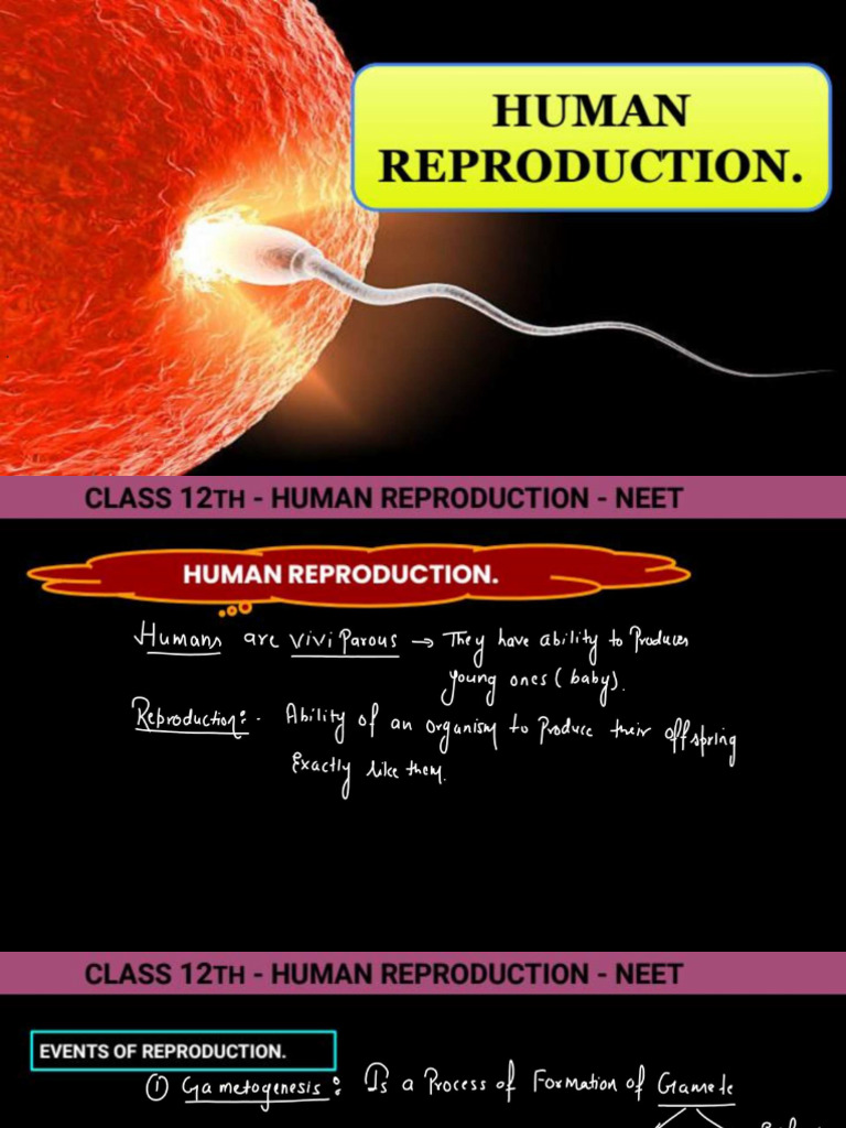 Reproduction Full Human | PDF