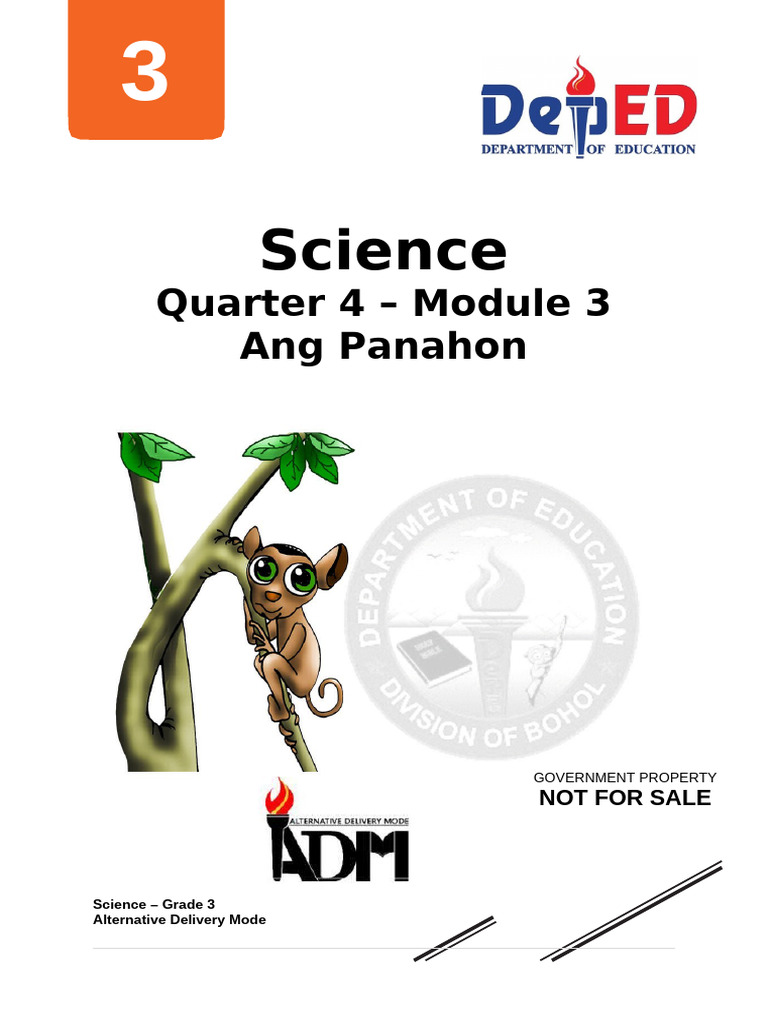 Scie3 Elem MODULE3 Q4 | PDF