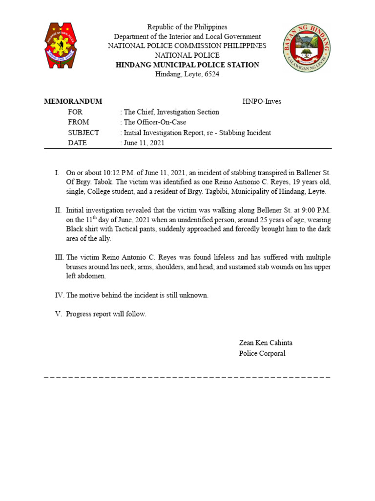 Initial Investigation Report | PDF