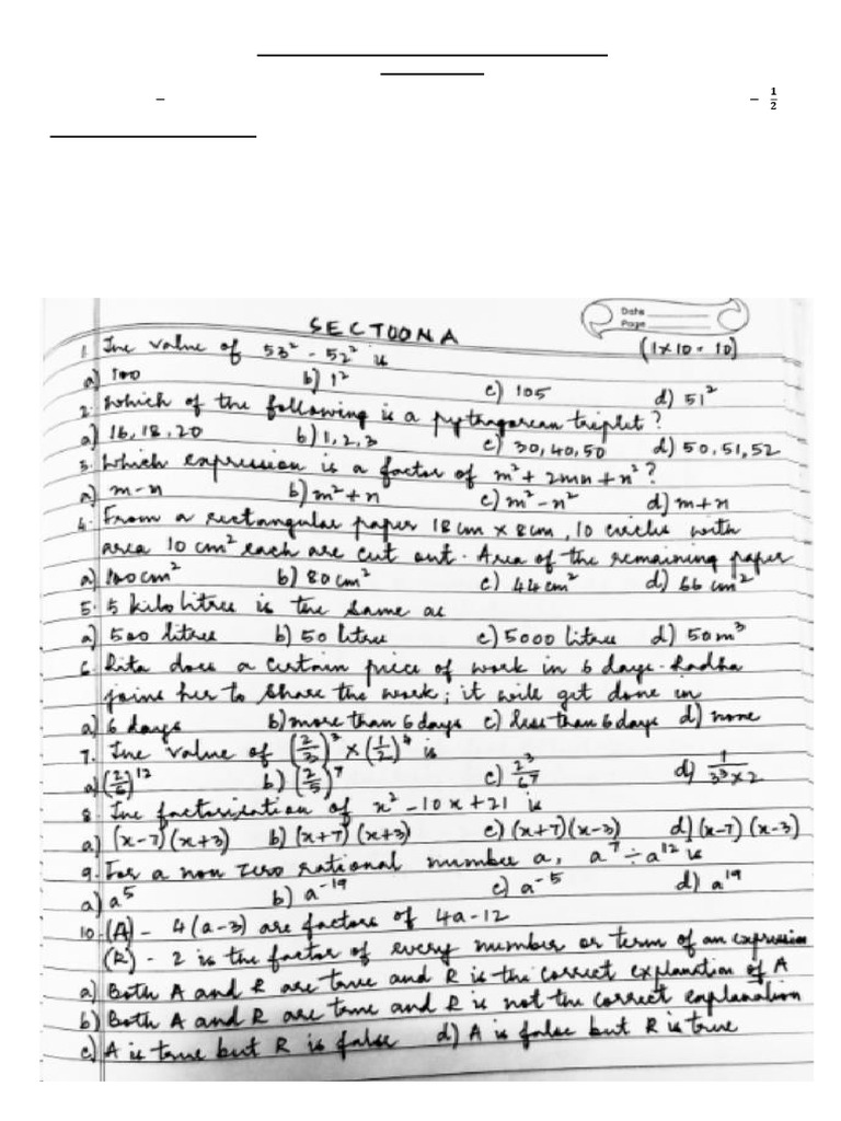 SAMPLE PAPER Class 8 Cbse | PDF