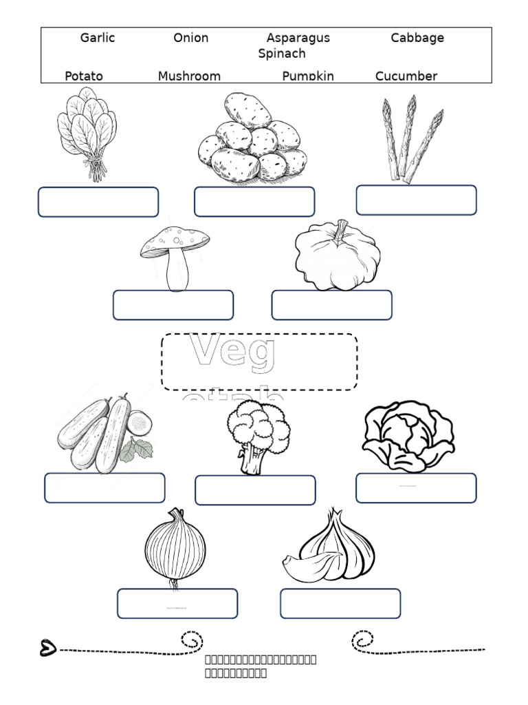 4 Vegetable | PDF