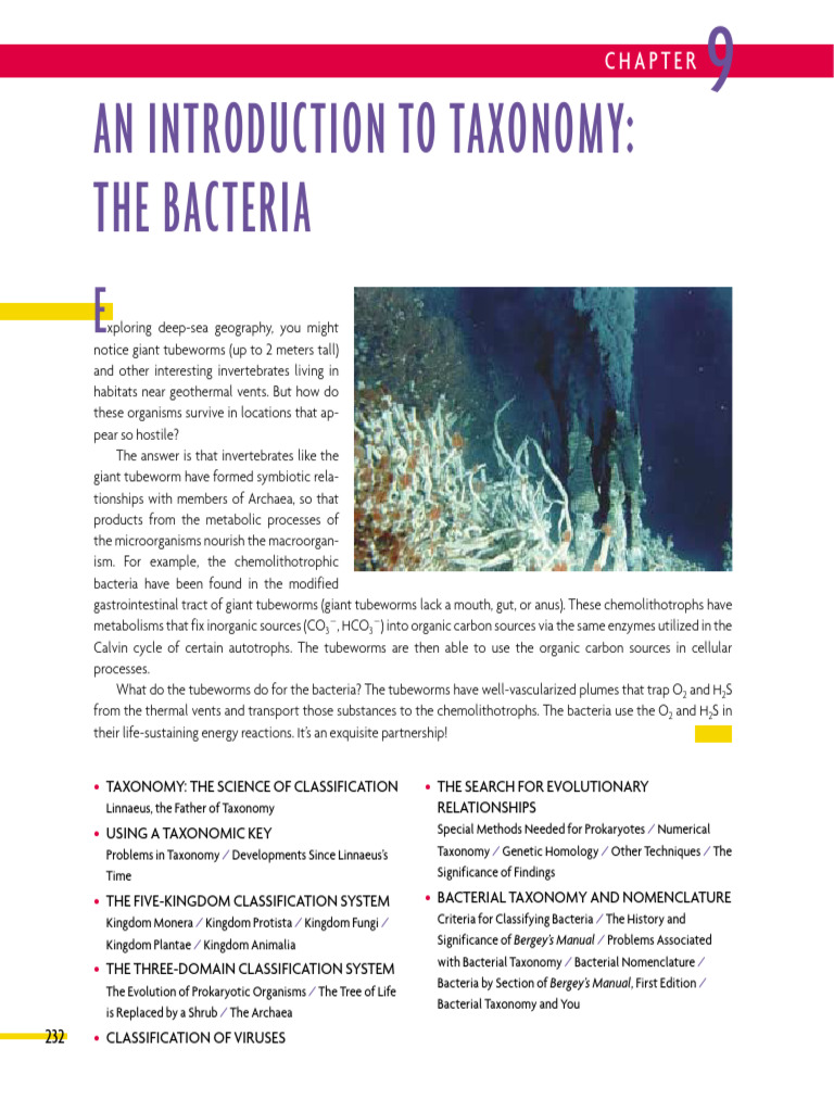 Bacteriology 2 | PDF | Fungus | Cyanobacteria