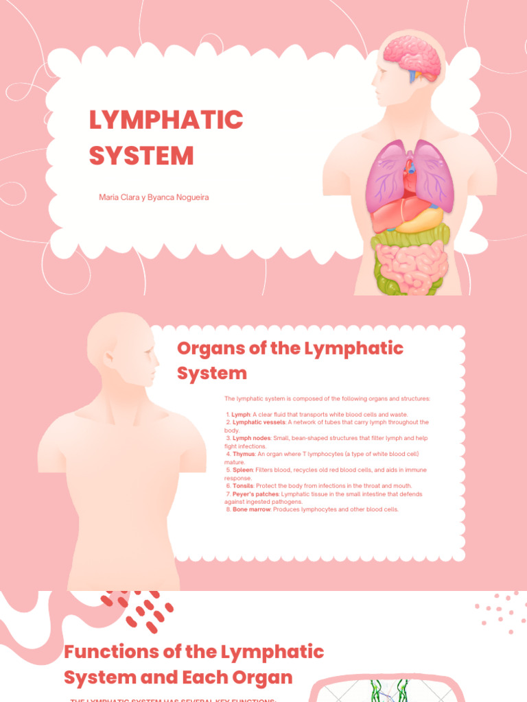 Lymphatic System.pdf | PDF | Lymphatic System | Lymph Node