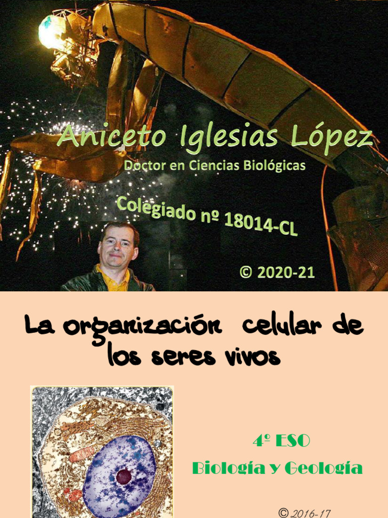 T 6 Organización Celular Seres Vivos 2020 | PDF | Mitosis | Mitosis