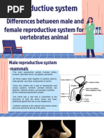 Male Frog Reproductive System Overview | PDF | Testicle | Sperm