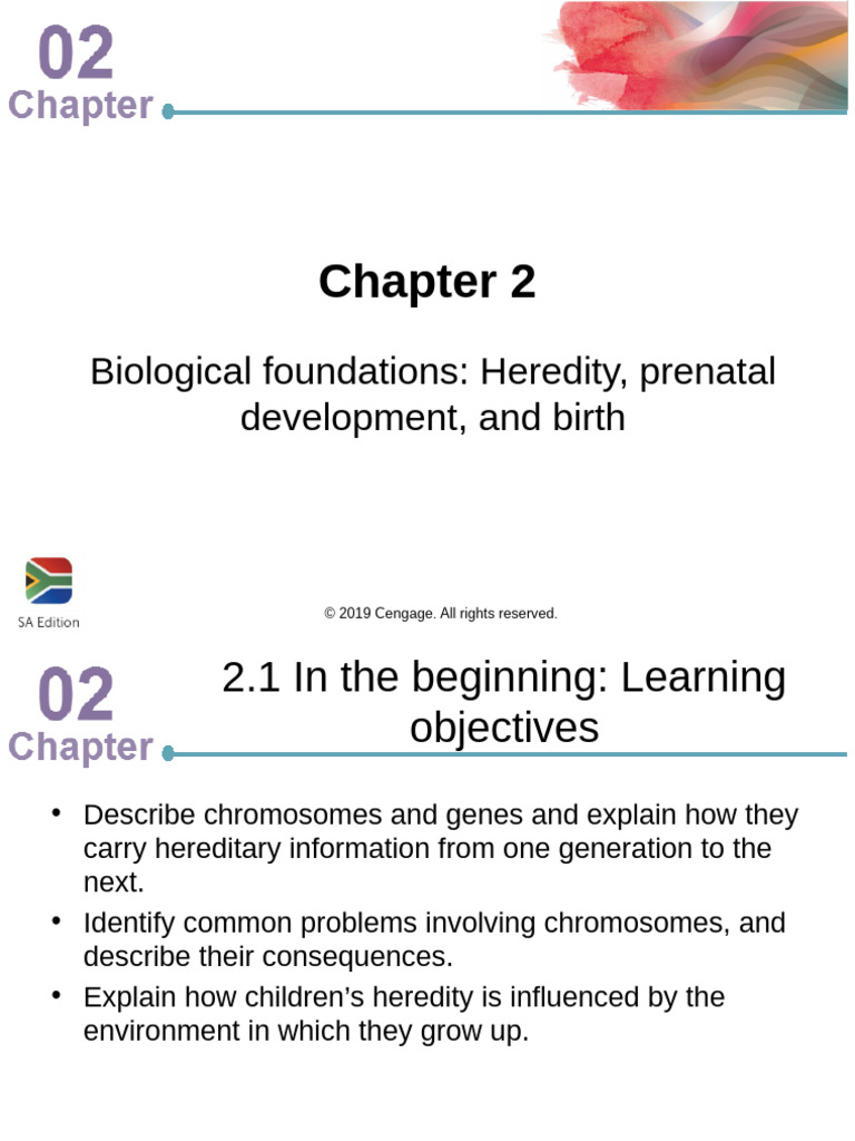 Heredity and Prenatal Development Insights | PDF | Allele | Dominance ...