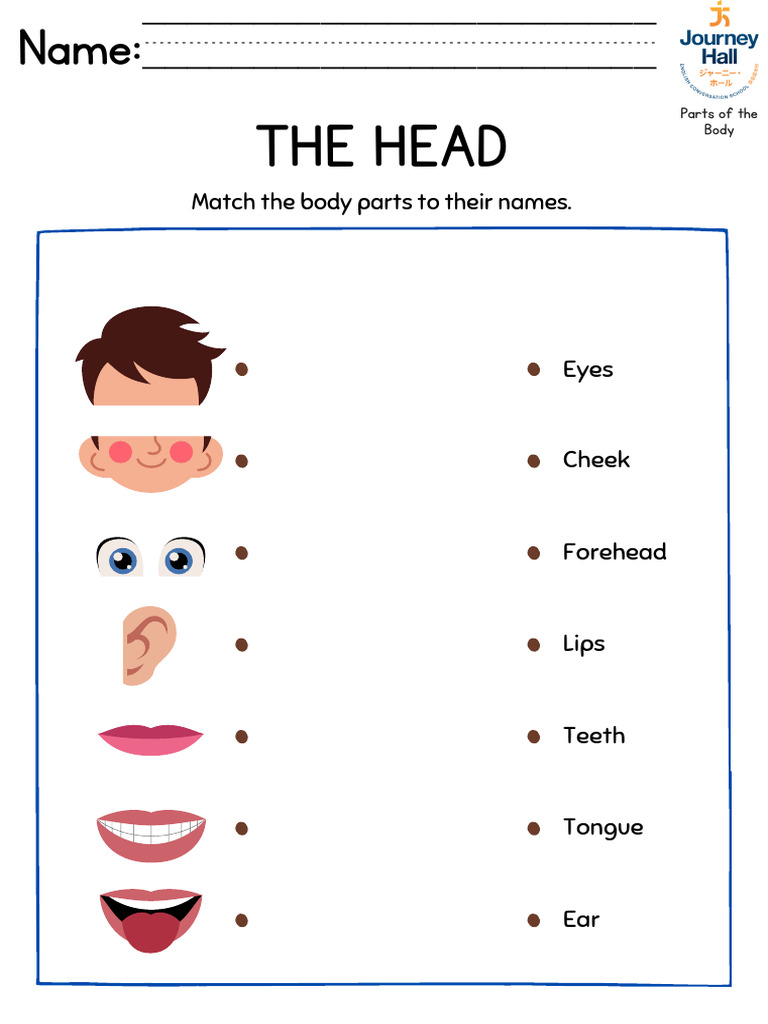 Match The Body Parts Name Worksheet | PDF