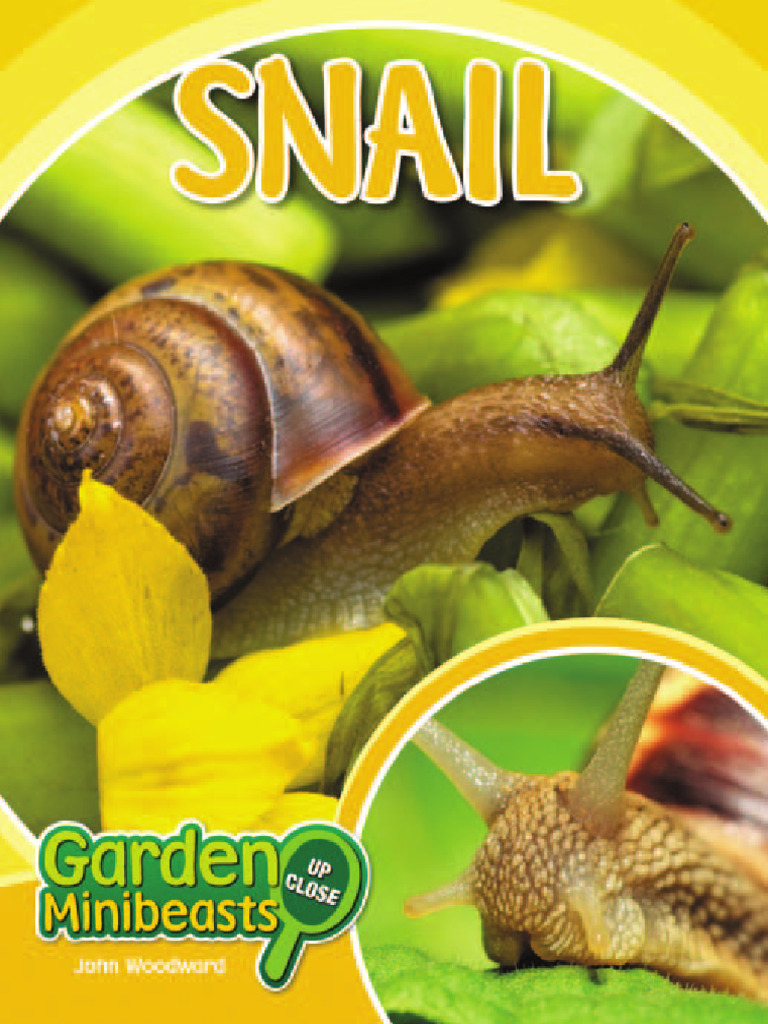 John Woodward - Snail (Garden Minibeasts Up Close) (2010) | PDF | Mollusca | Molluscs